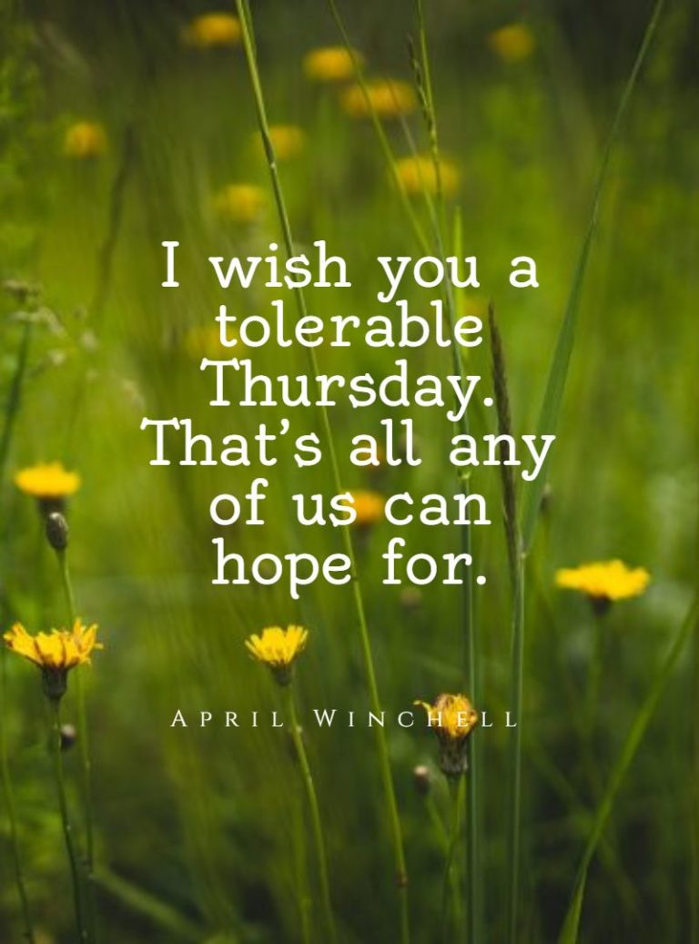 Thursday Motivation Quotes that will make this day the Most Productive ...